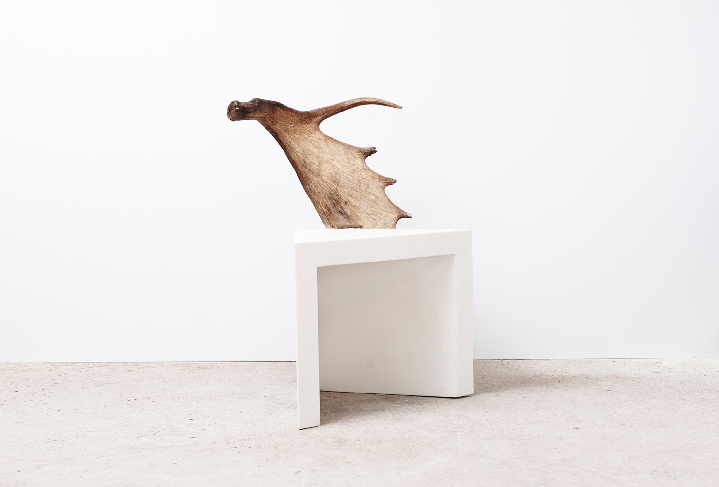 Pierre Marie Giraud, Brussels, Paris, Artists, Yo Akiyama, Jos ...